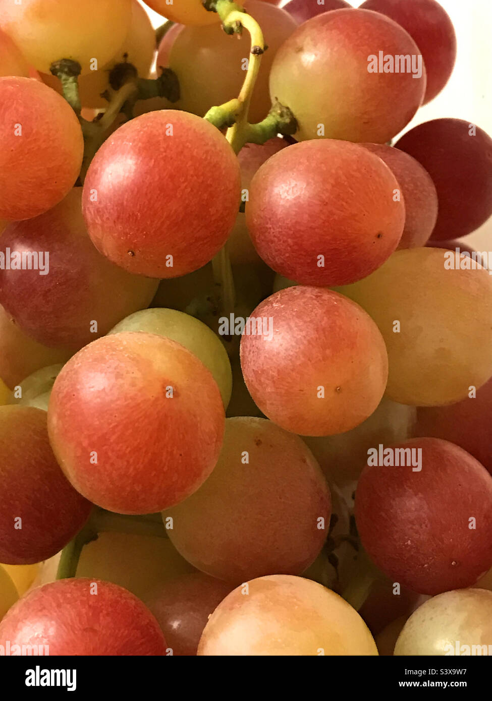 Uvas naturales hi-res stock photography and images - Alamy