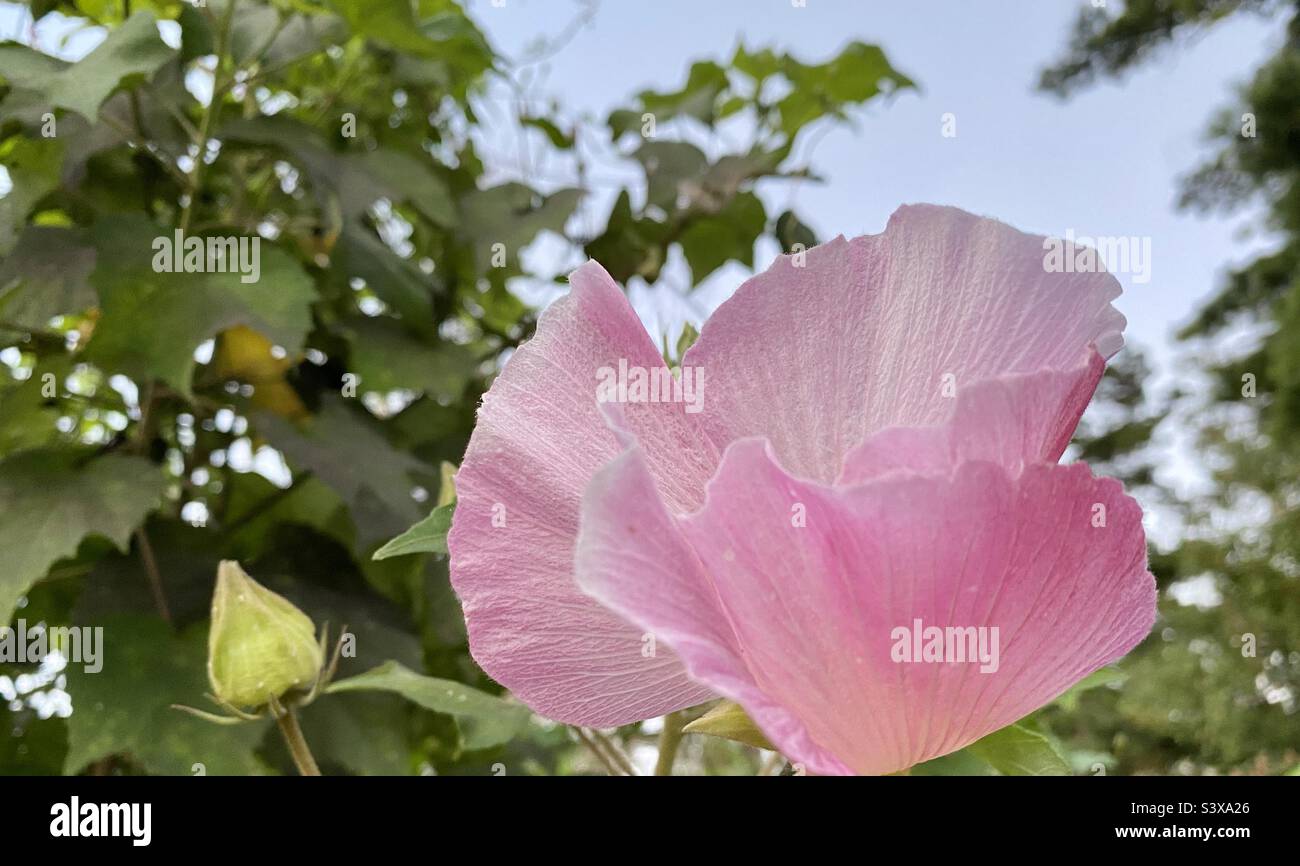 Closing paper hi-res stock photography and images - Alamy