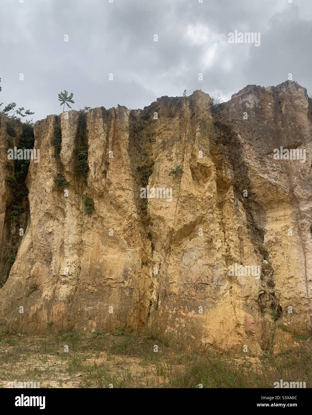 Google land hi-res stock photography and images - Alamy