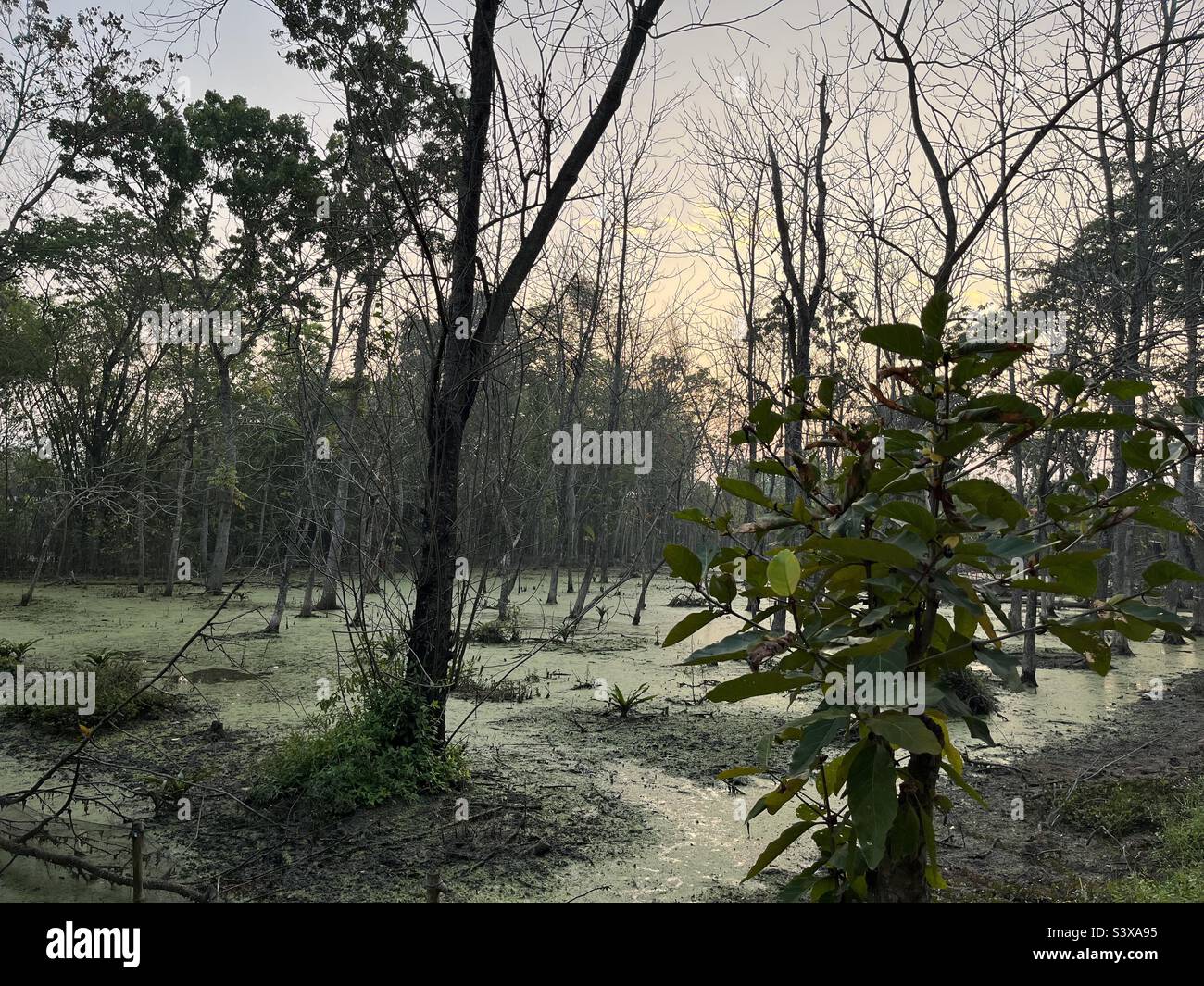 Empty fields hi-res stock photography and images - Alamy