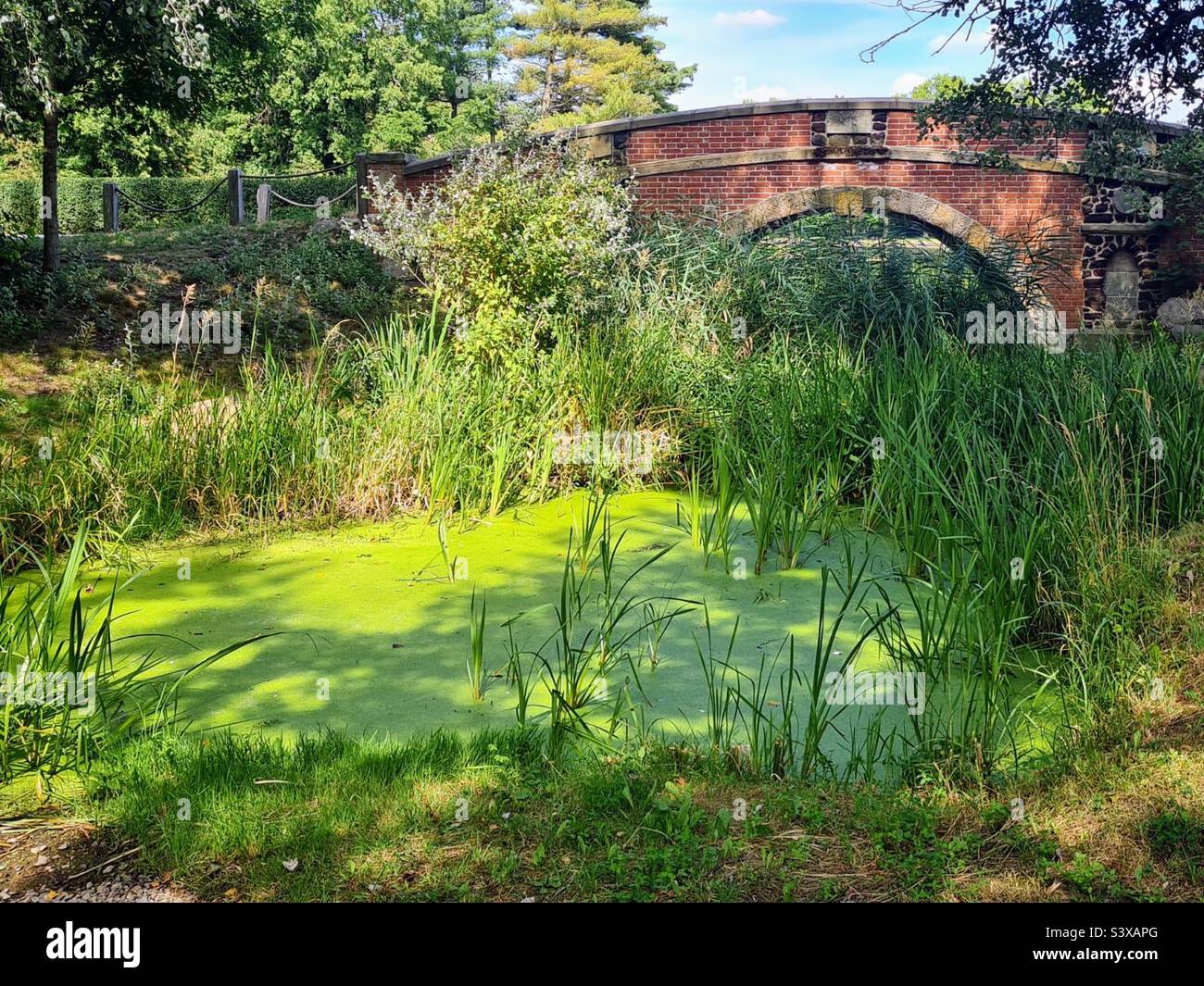 Types of bricks hi-res stock photography and images - Alamy
