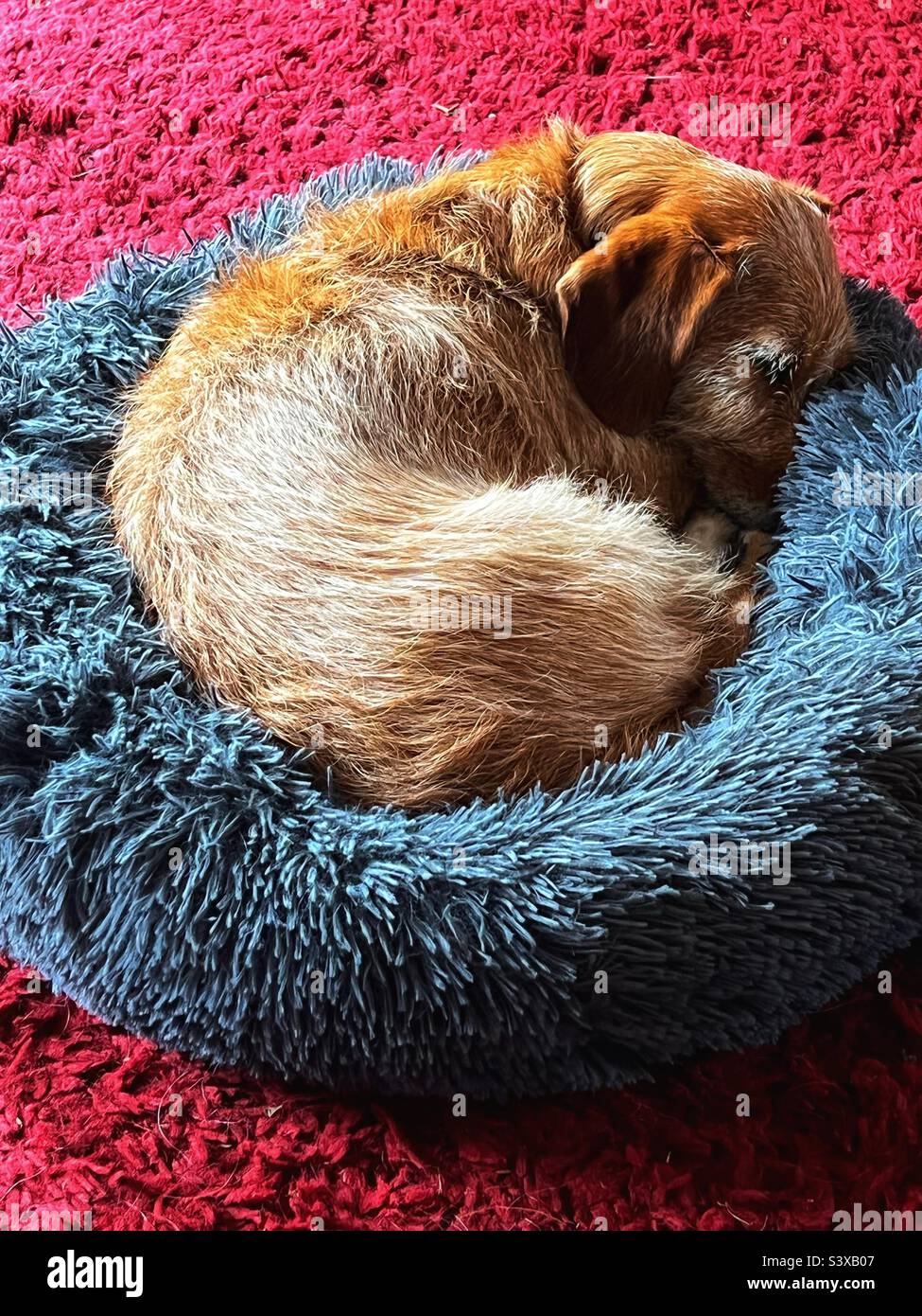 Snuggle moment hi-res stock photography and images - Alamy