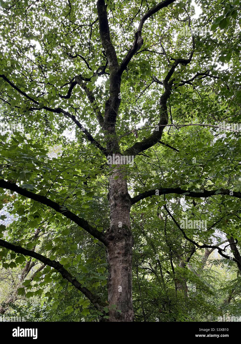 Protection from the rain hi-res stock photography and images - Alamy