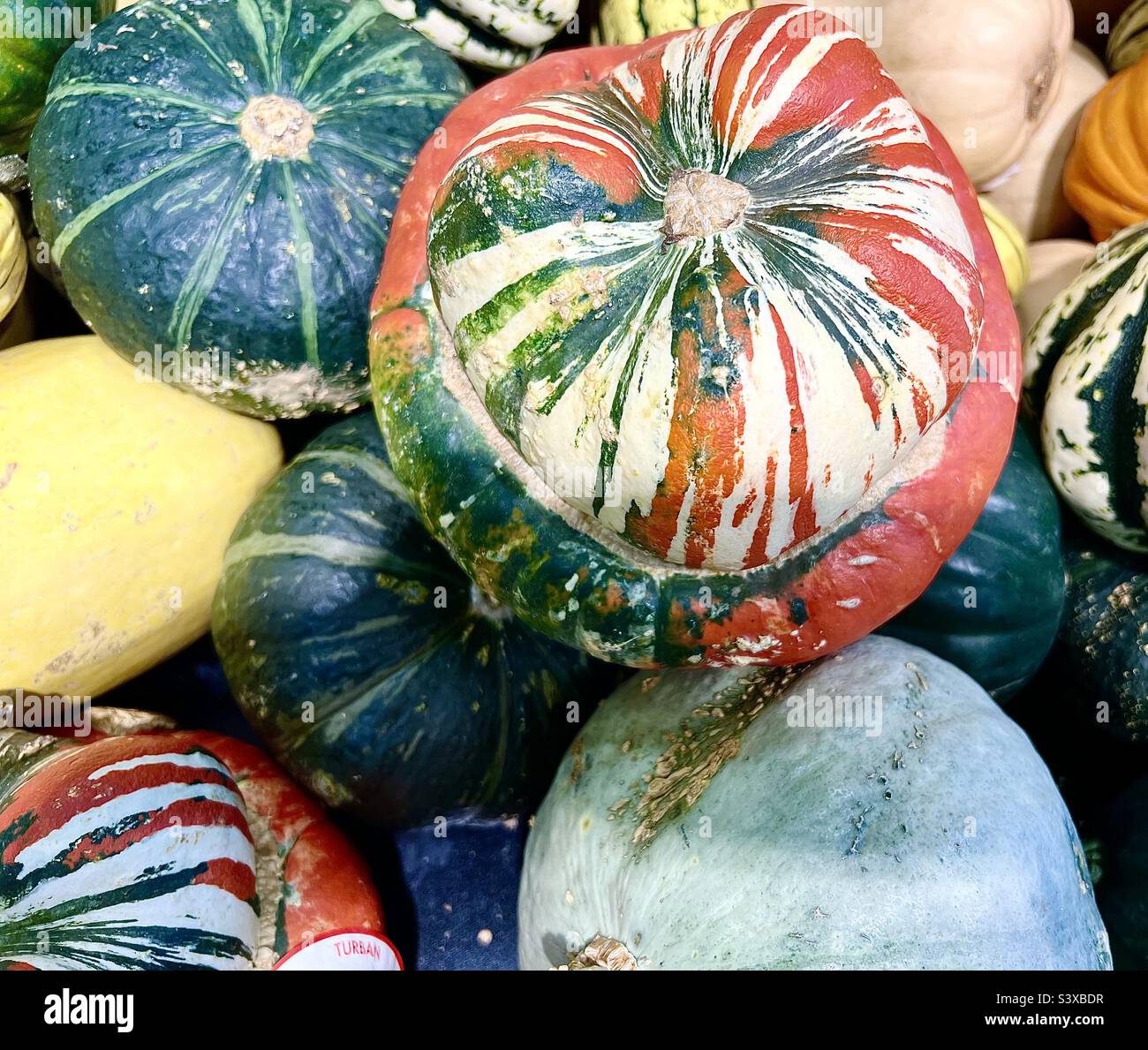 Mixed Variety Of Gourds Stock Photo - Alamy
