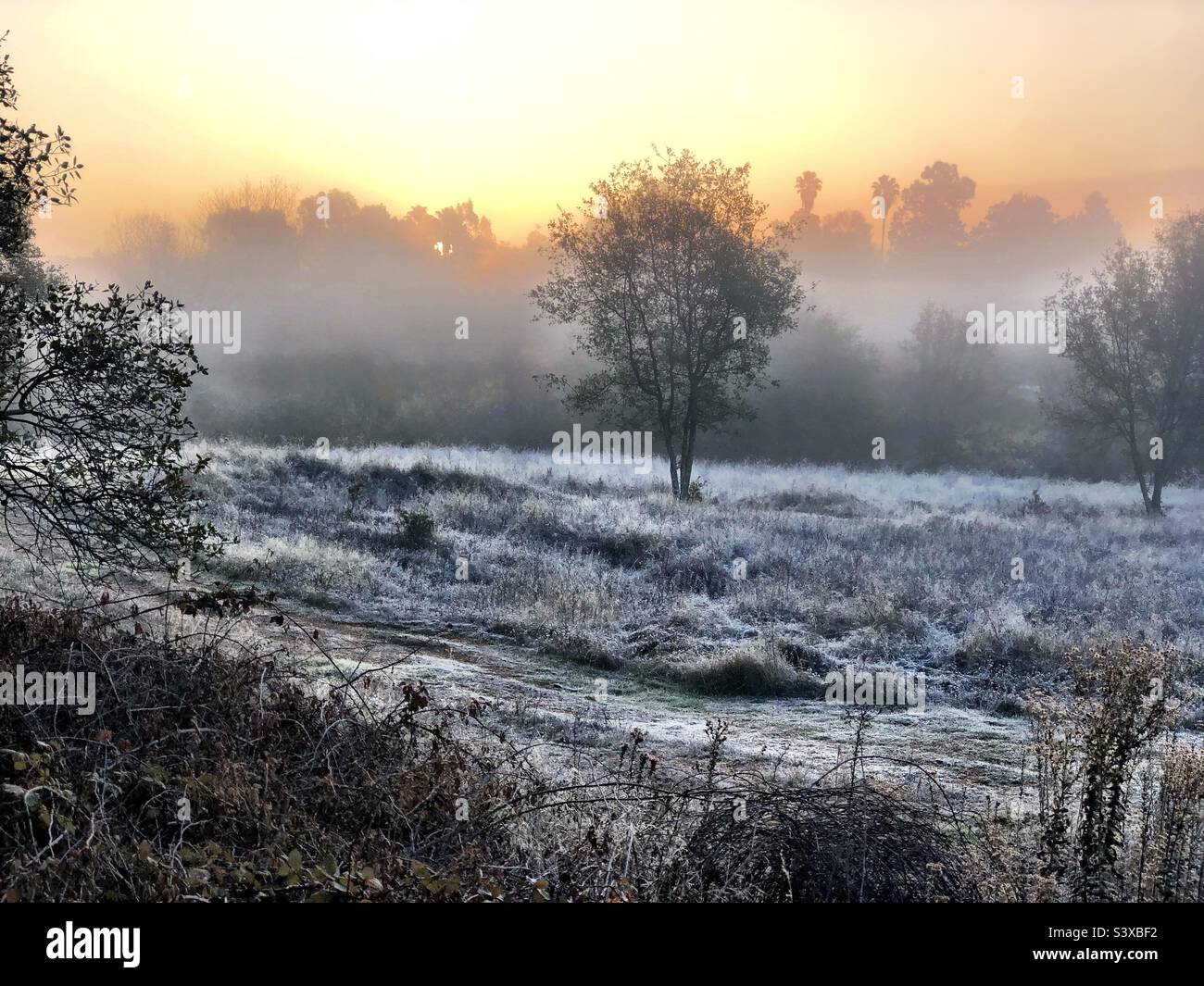 Frosty winter landscape hi-res stock photography and images - Alamy