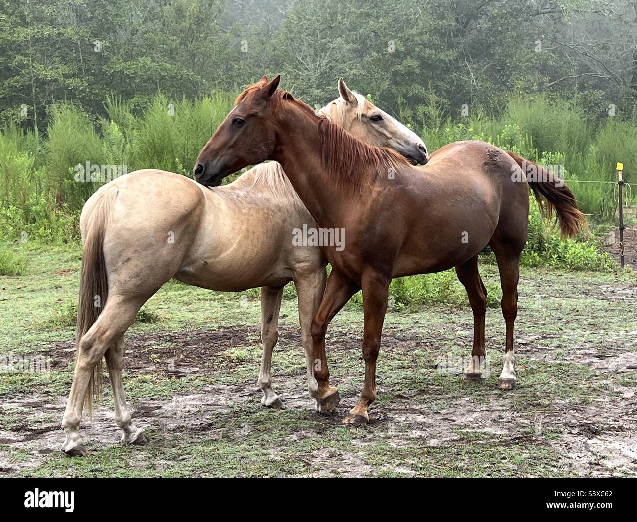 Ill yours hi-res stock photography and images - Alamy