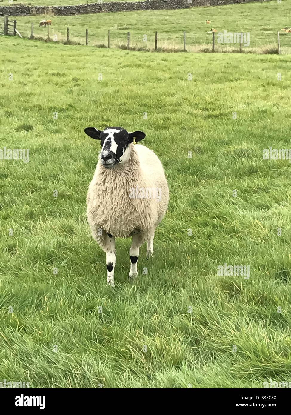 Derbyshire gritstone hi-res stock photography and images - Alamy