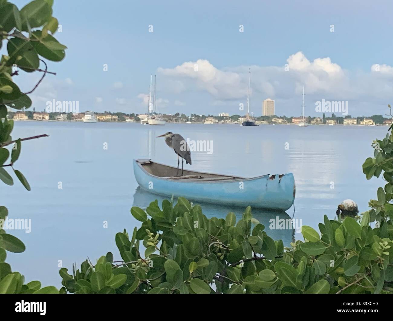 Blue canoe hi-res stock photography and images - Alamy