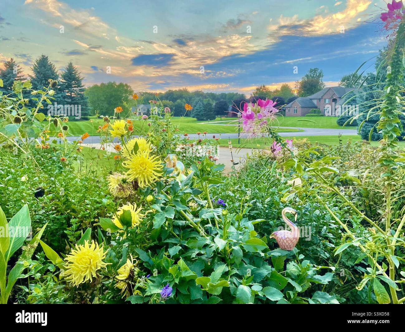 Summer garden at sunset Stock Photo - Alamy