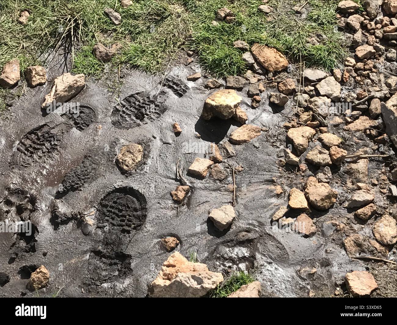 Muddy footprints hi-res stock photography and images - Alamy