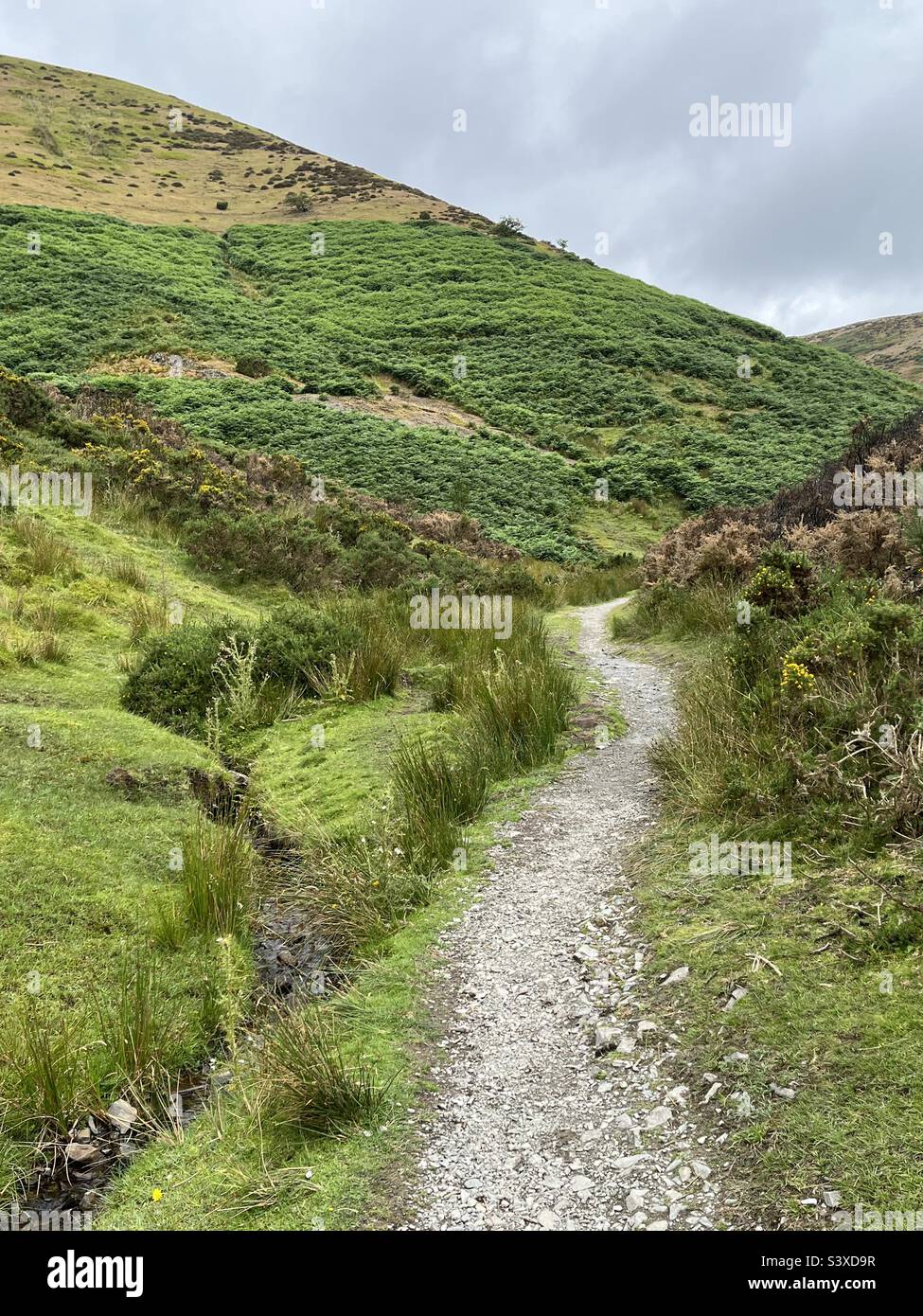Footpath along the Long Mynd Stock Photo - Alamy
