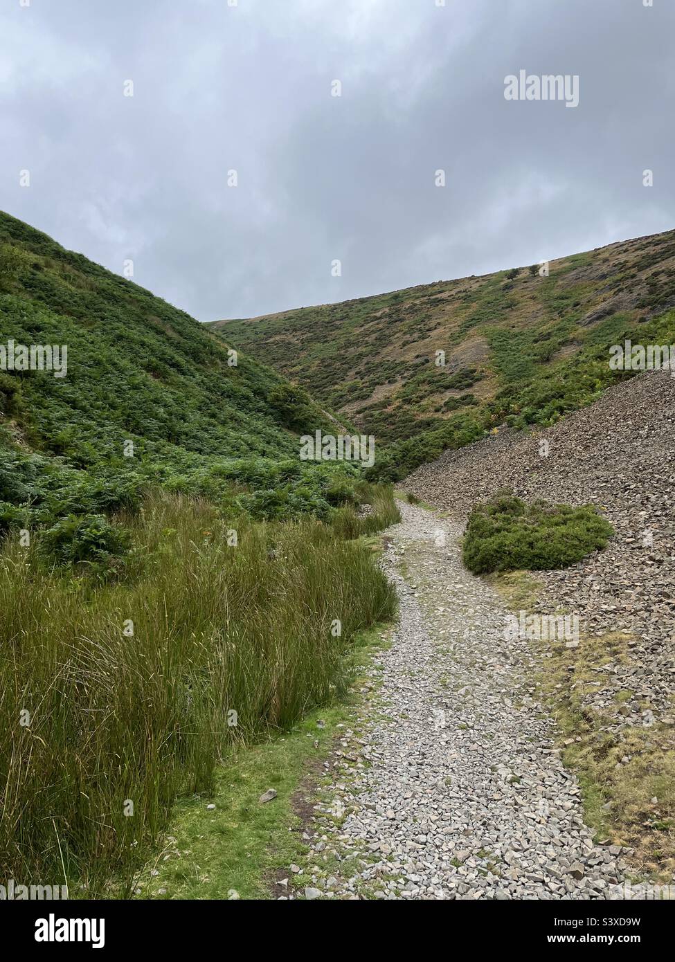 Footpath along the Long Mynd Stock Photo - Alamy