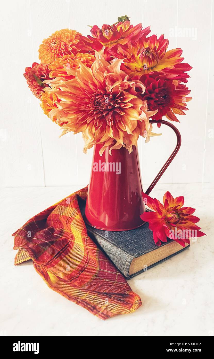 Bouquet of autumn themed dahlias in a red metal pitcher Stock Photo - Alamy