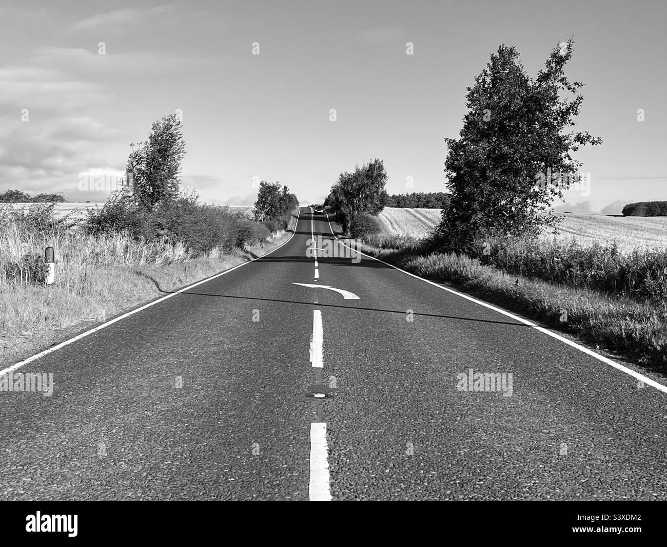 Empty road trees Black and White Stock Photos & Images - Alamy