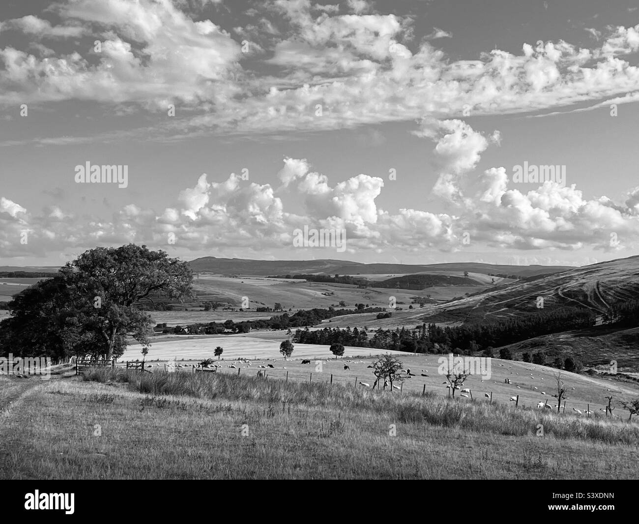 Rural scene Black and White Stock Photos & Images - Alamy