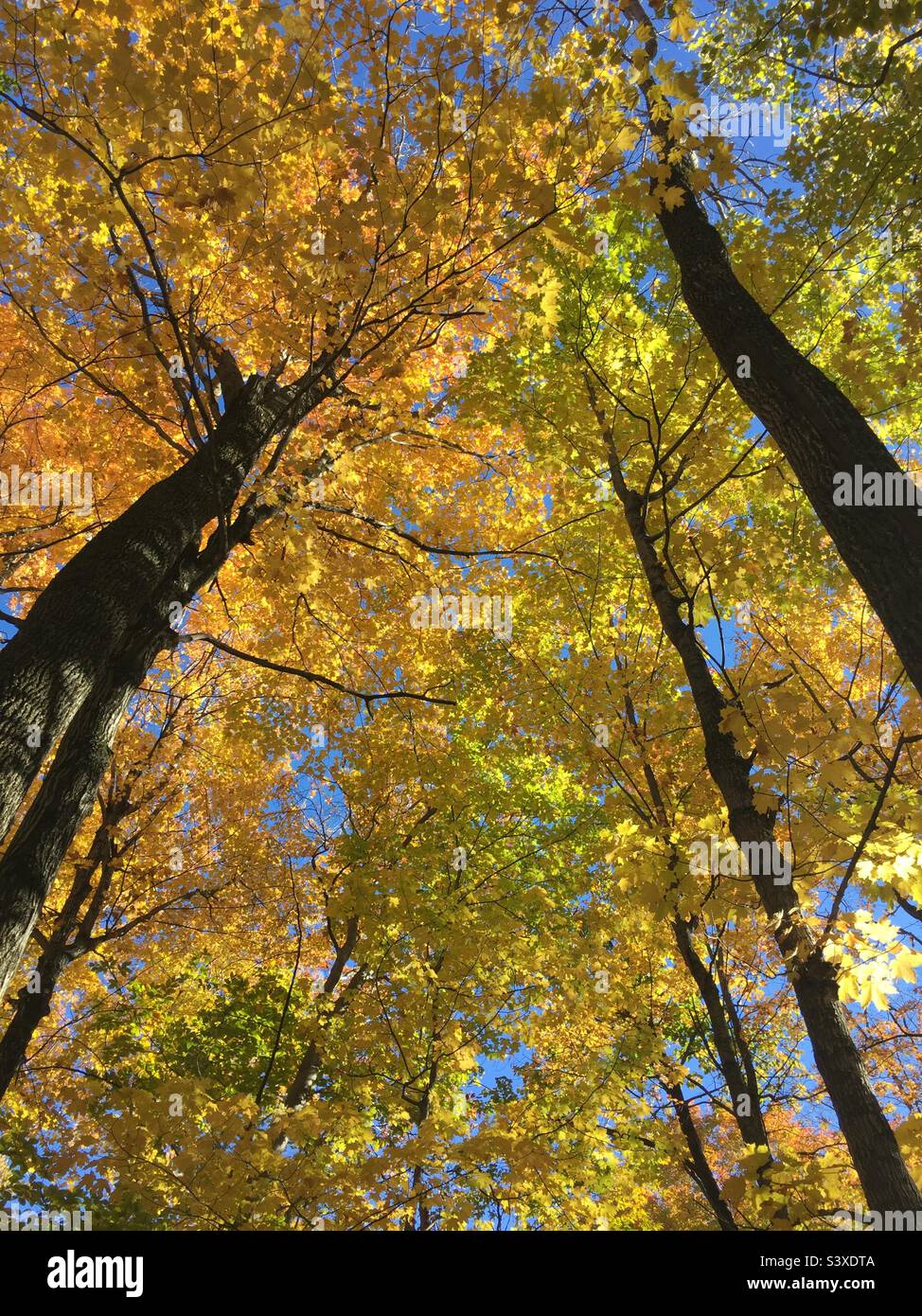 Quebec autumn colors hi-res stock photography and images - Alamy