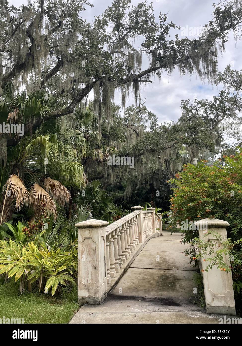 white columns on garden bridge in southern tropical garden with palm ...