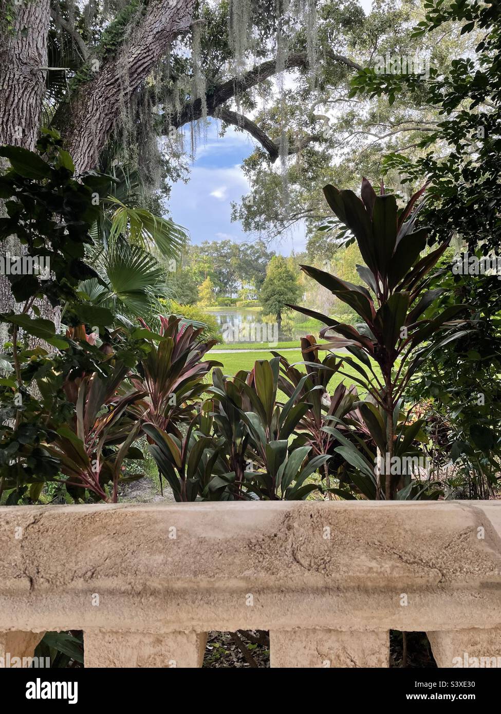 Tree like columns hi-res stock photography and images - Alamy