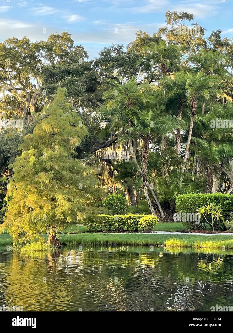 Cypress trees garden hi-res stock photography and images - Alamy
