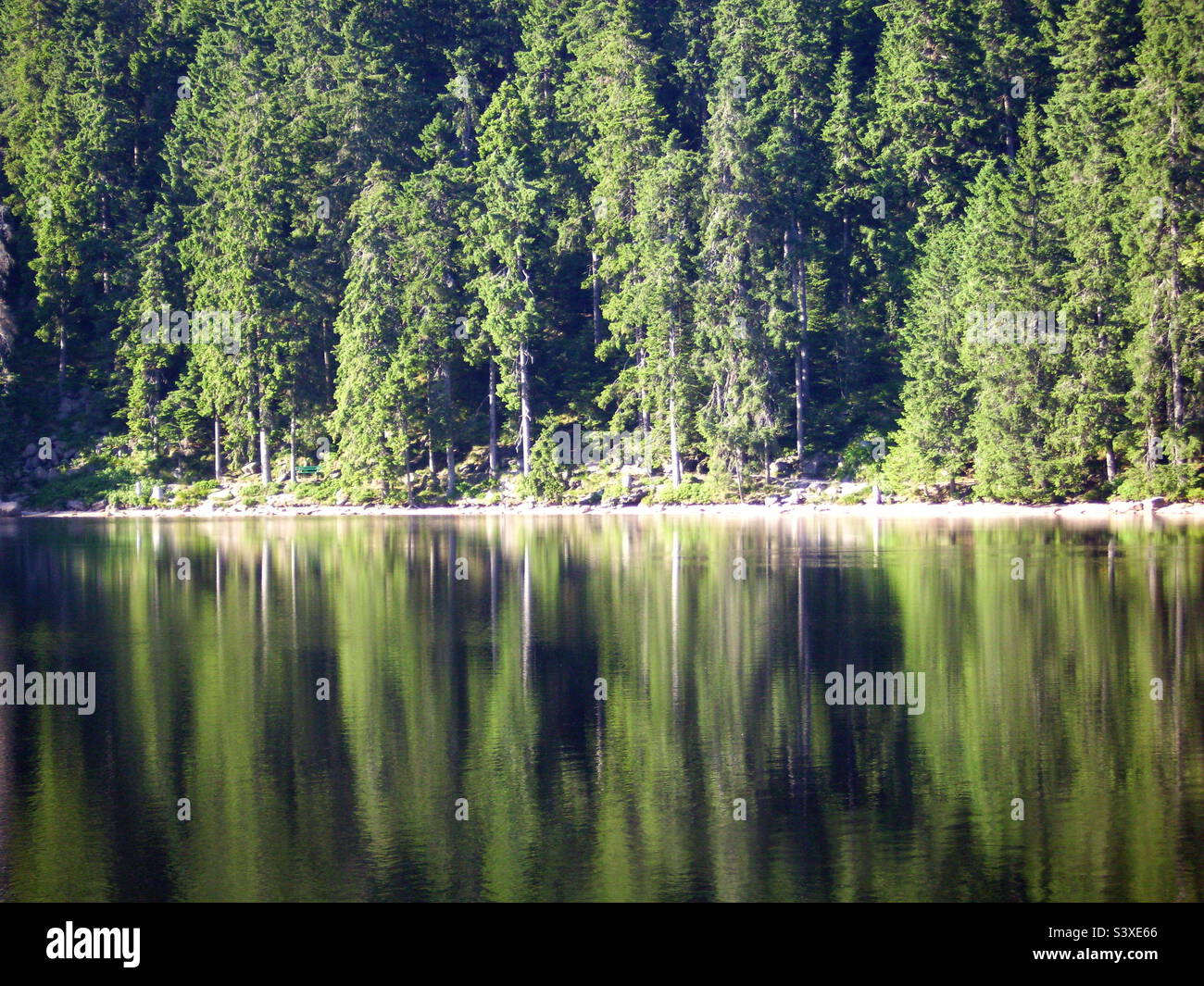 At the mummelsee hi-res stock photography and images - Alamy