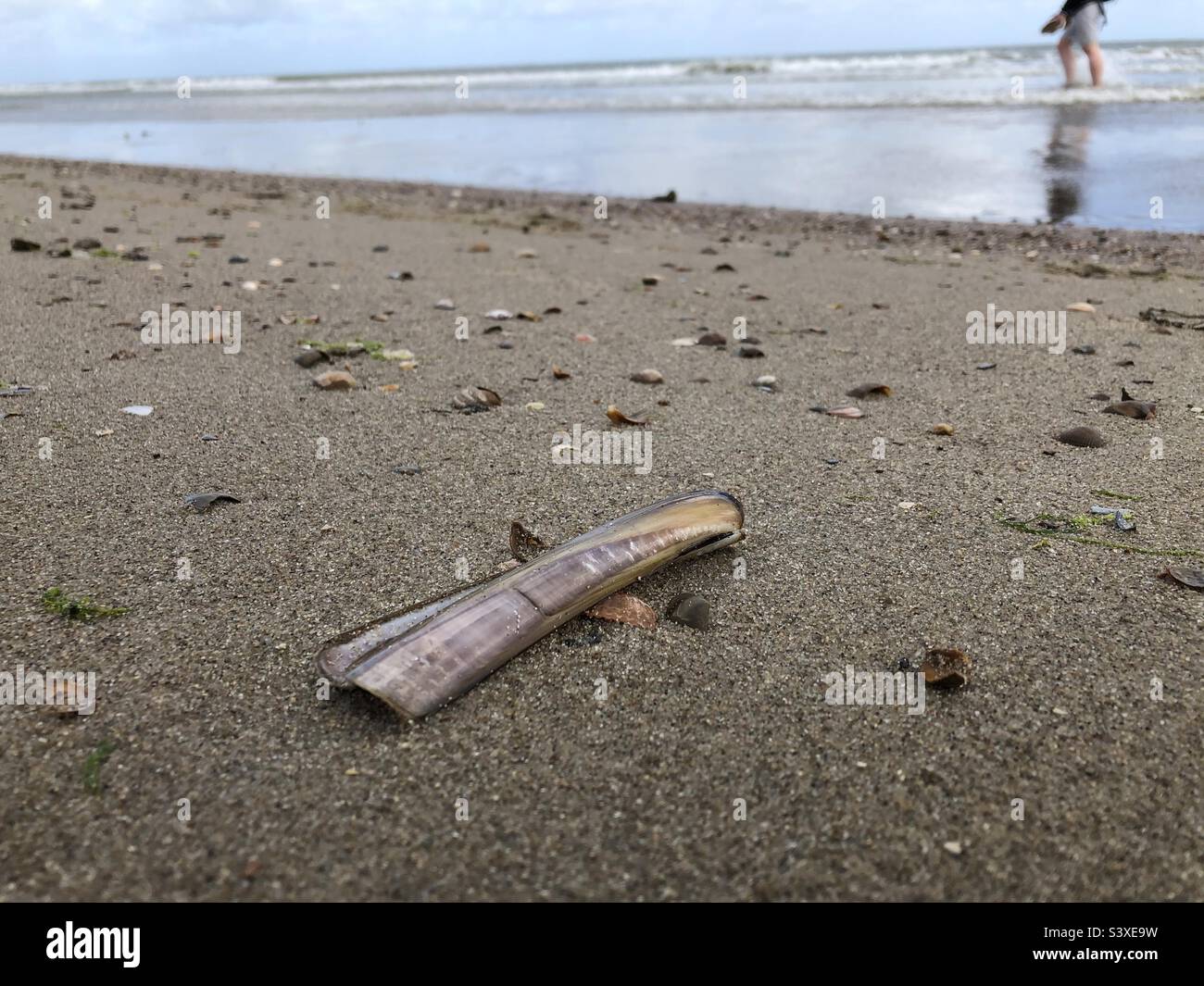 Razor beach hi-res stock photography and images - Alamy