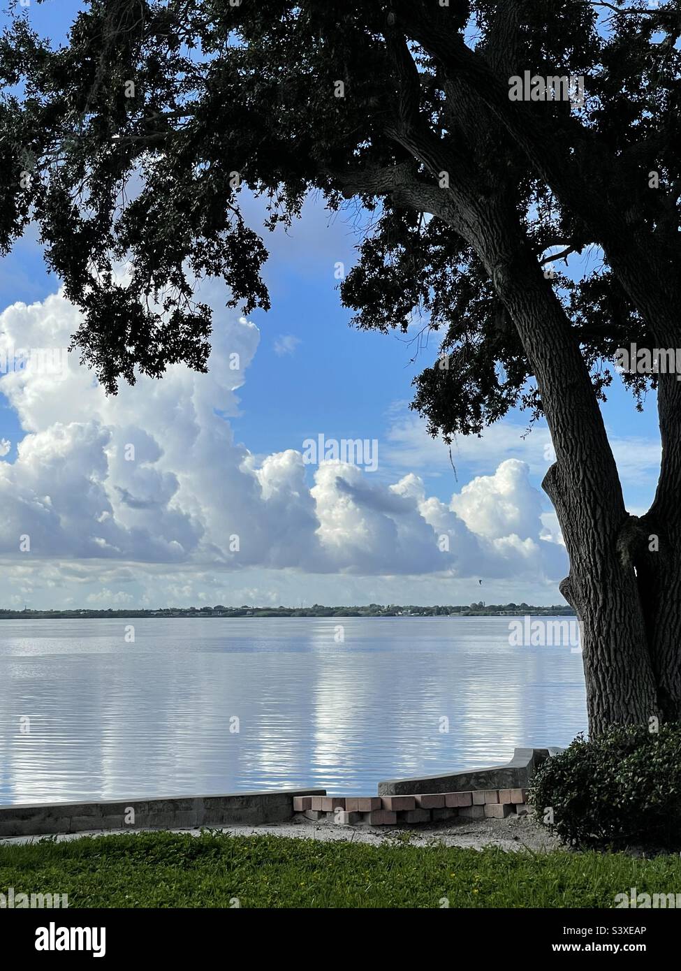 Peace, tranquility, blue sky and fluffy cloud reflections on Old Tampa ...