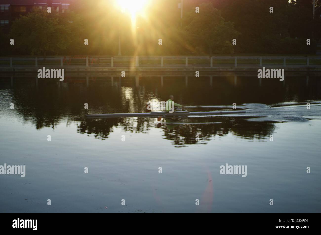 Single scull rowing at sunrise on the Rideau Canal Stock Photo - Alamy