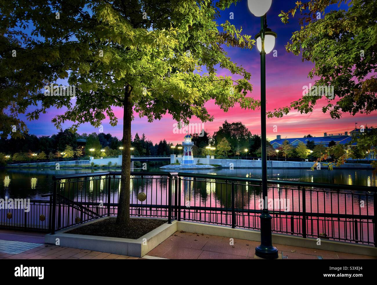 Trees street lighting hi-res stock photography and images - Alamy