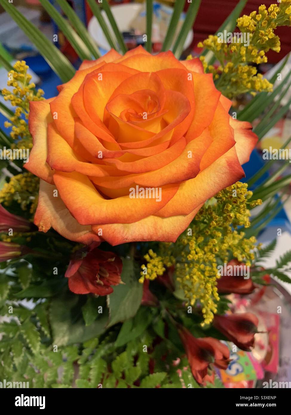 Sunset_beauty hi-res stock photography and images - Alamy