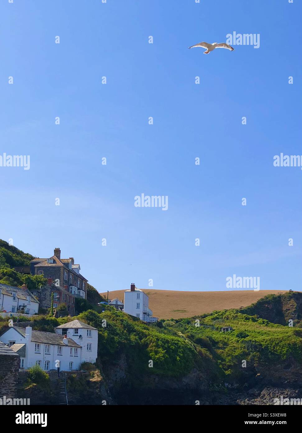 Cornwall, Port Isaac home of Doc Martin Stock Photo - Alamy