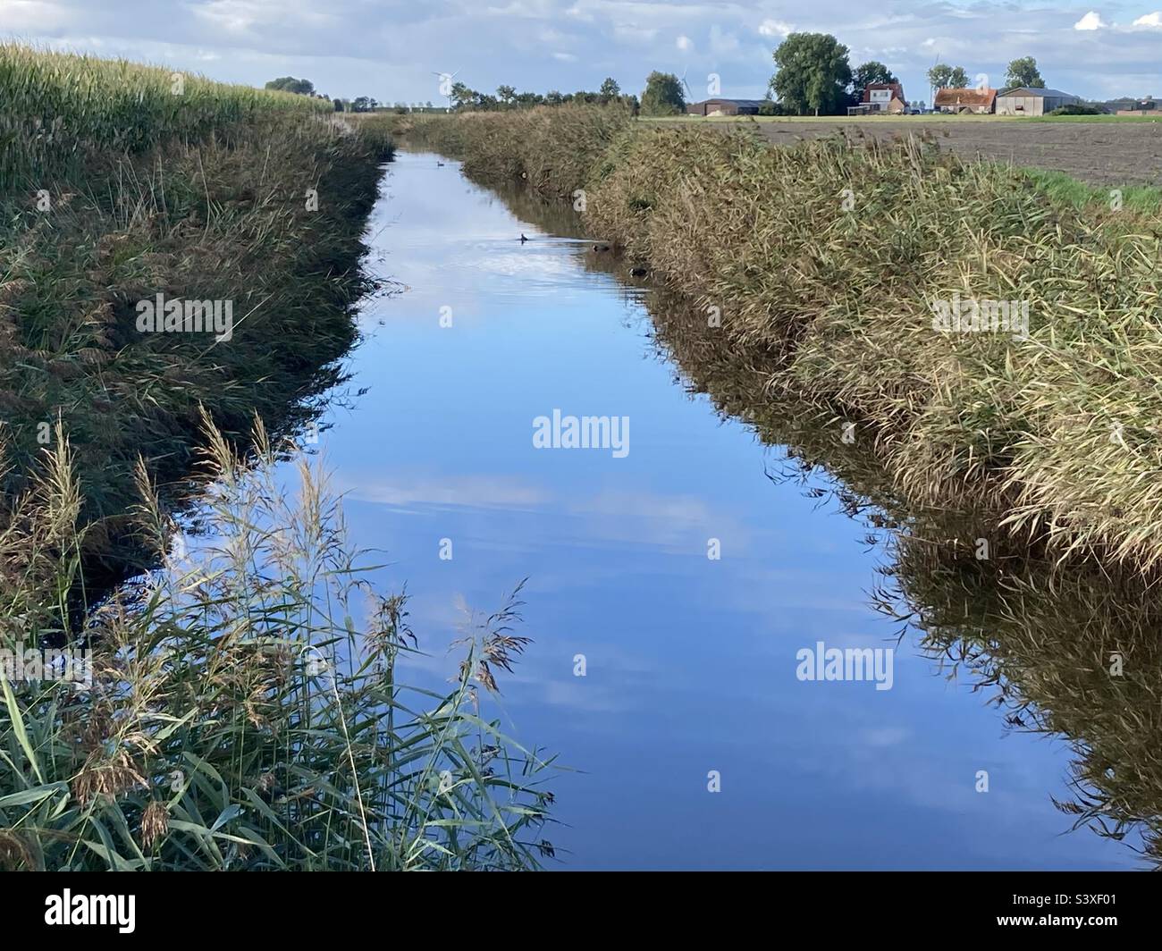 Dutch sky hi-res stock photography and images - Alamy