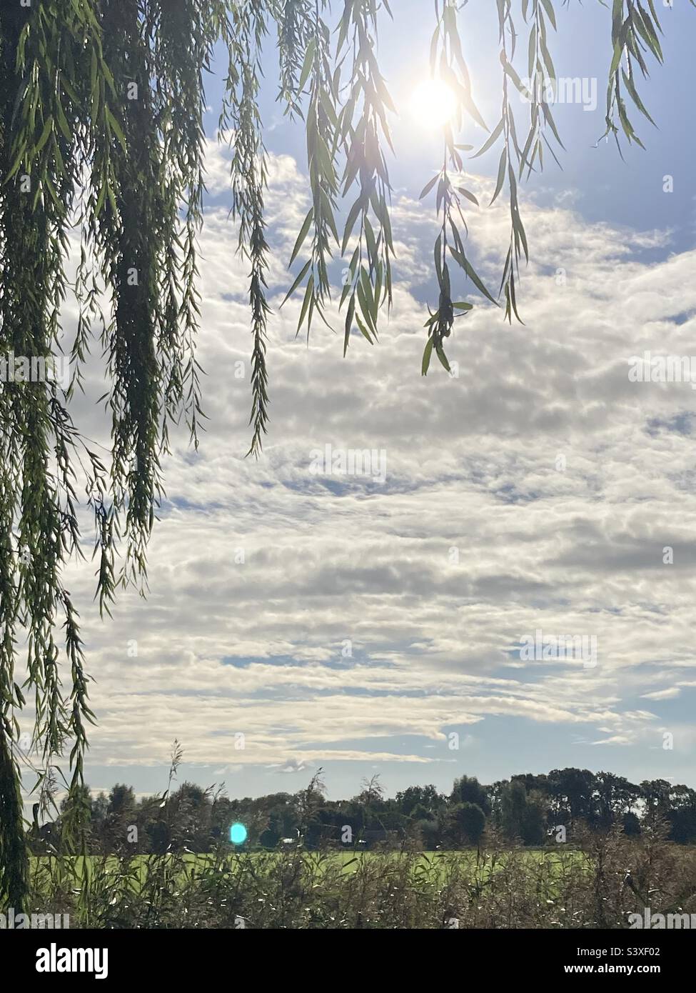 Polder view hi-res stock photography and images - Alamy
