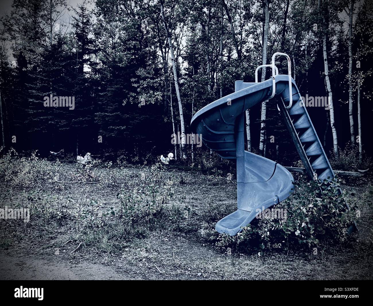 Spooky park hi-res stock photography and images - Alamy