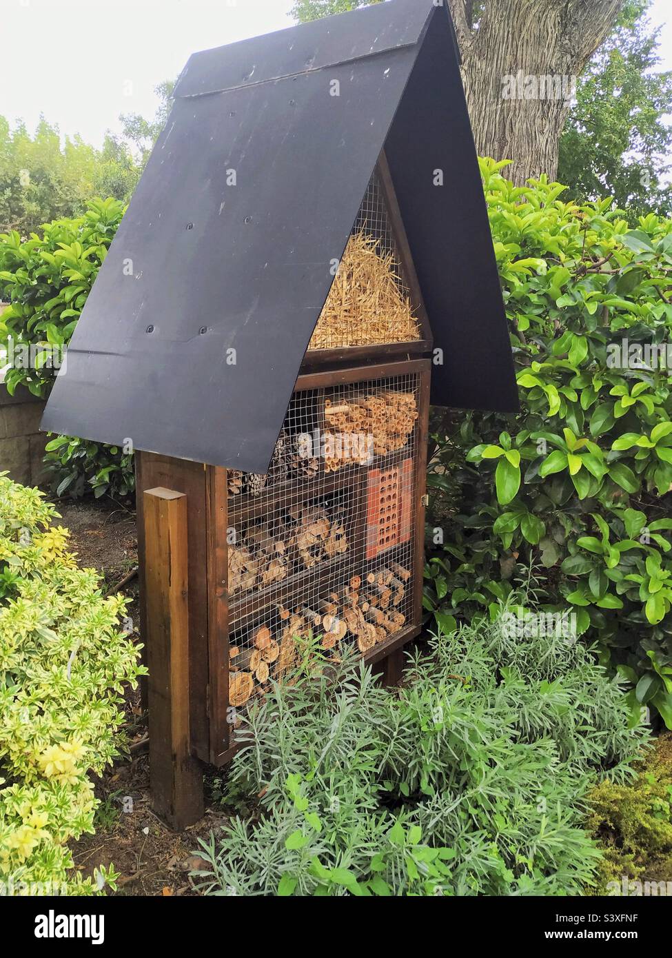 Bug hotels hi-res stock photography and images - Alamy