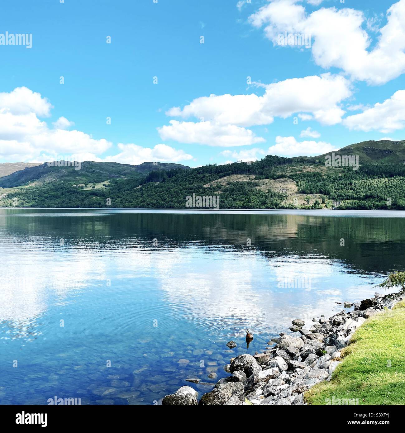 Loch ness fort augustus hi-res stock photography and images - Alamy