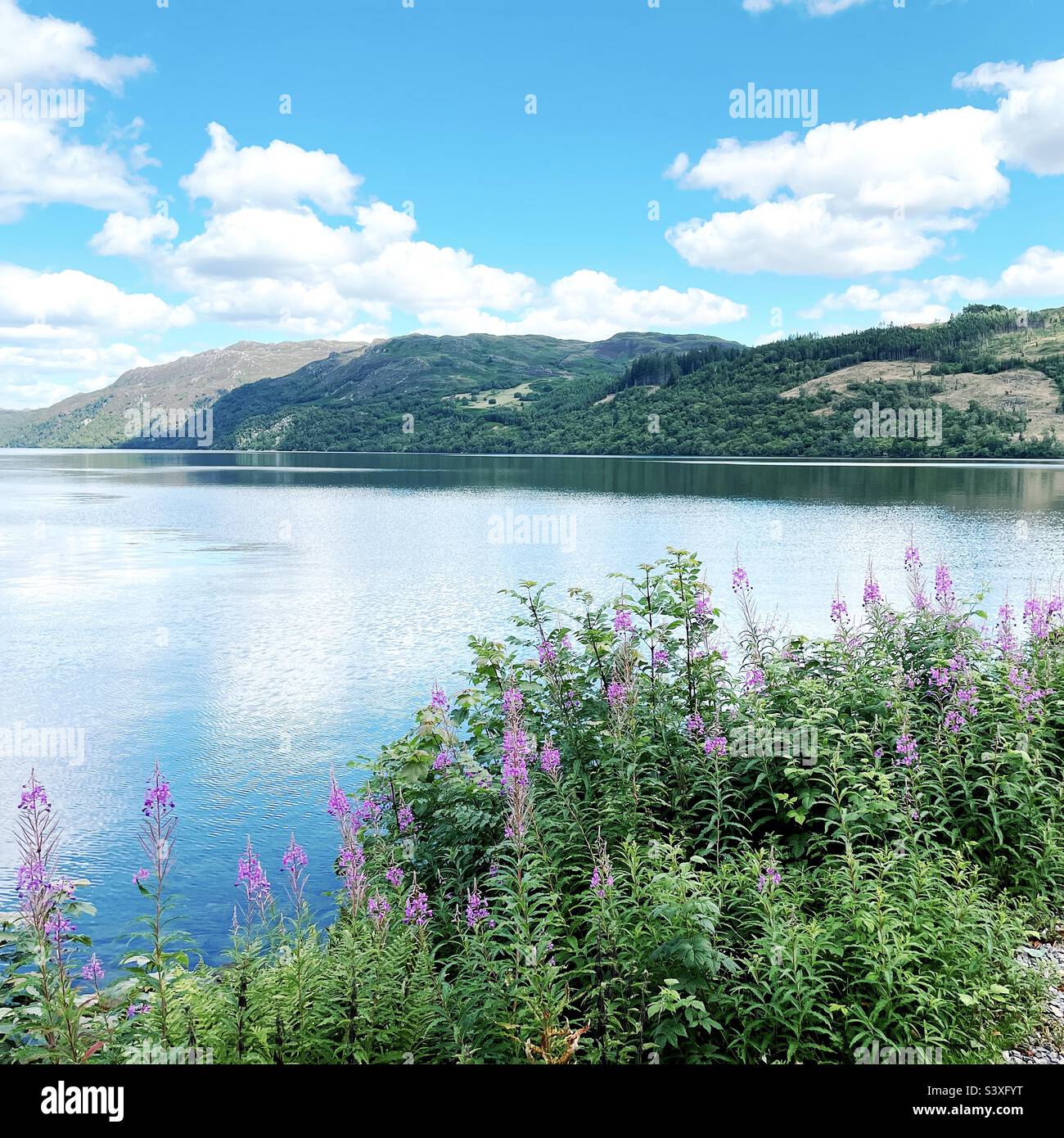 Loch Ness at Fort Augustus Stock Photo - Alamy