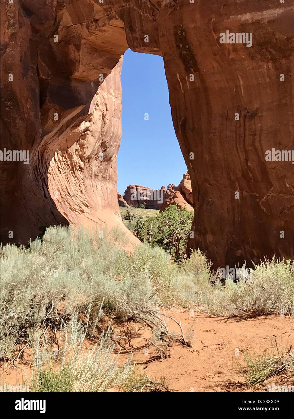 Tree arch hi-res stock photography and images - Alamy