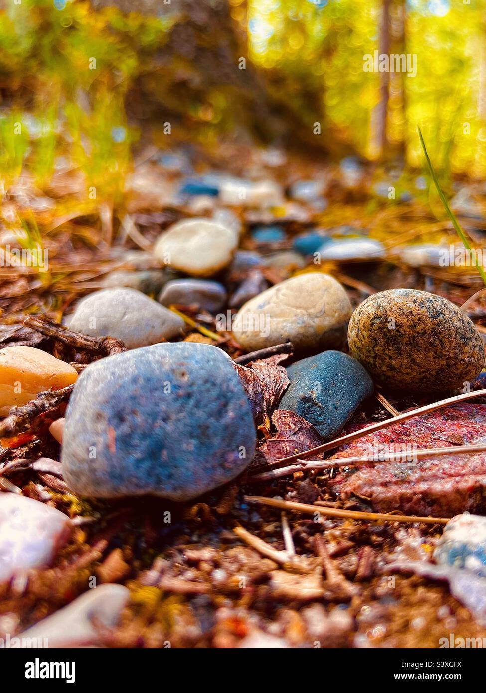 Saturated nature hi-res stock photography and images - Alamy