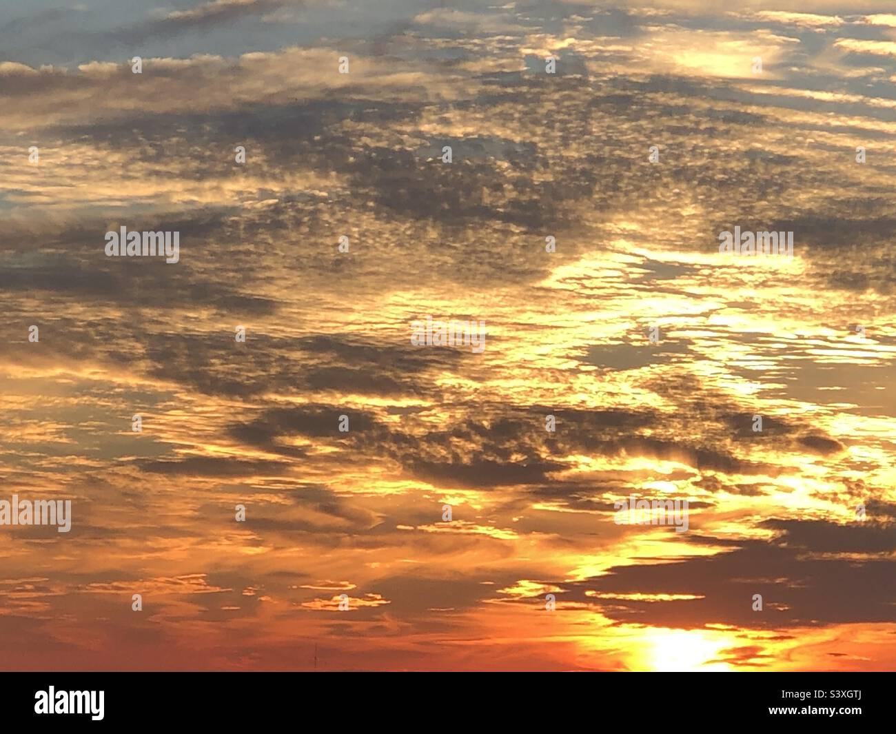 A golden sunset Stock Photo - Alamy