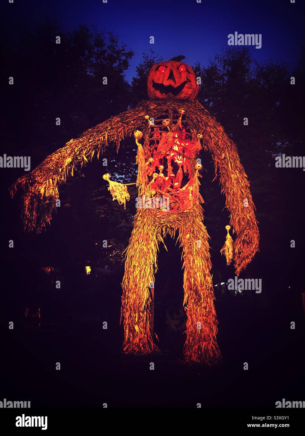Pumpkin man hi-res stock photography and images - Alamy