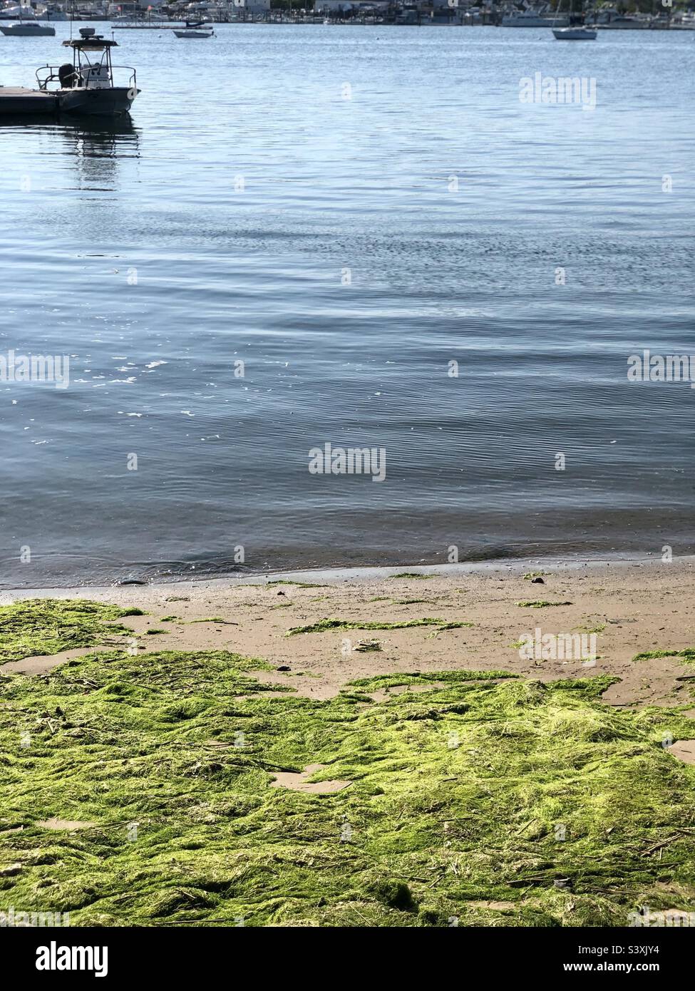 Ocean view with boats hi-res stock photography and images - Alamy
