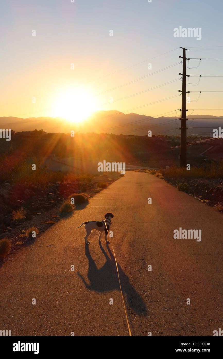 Watching sun setting hi-res stock photography and images - Alamy
