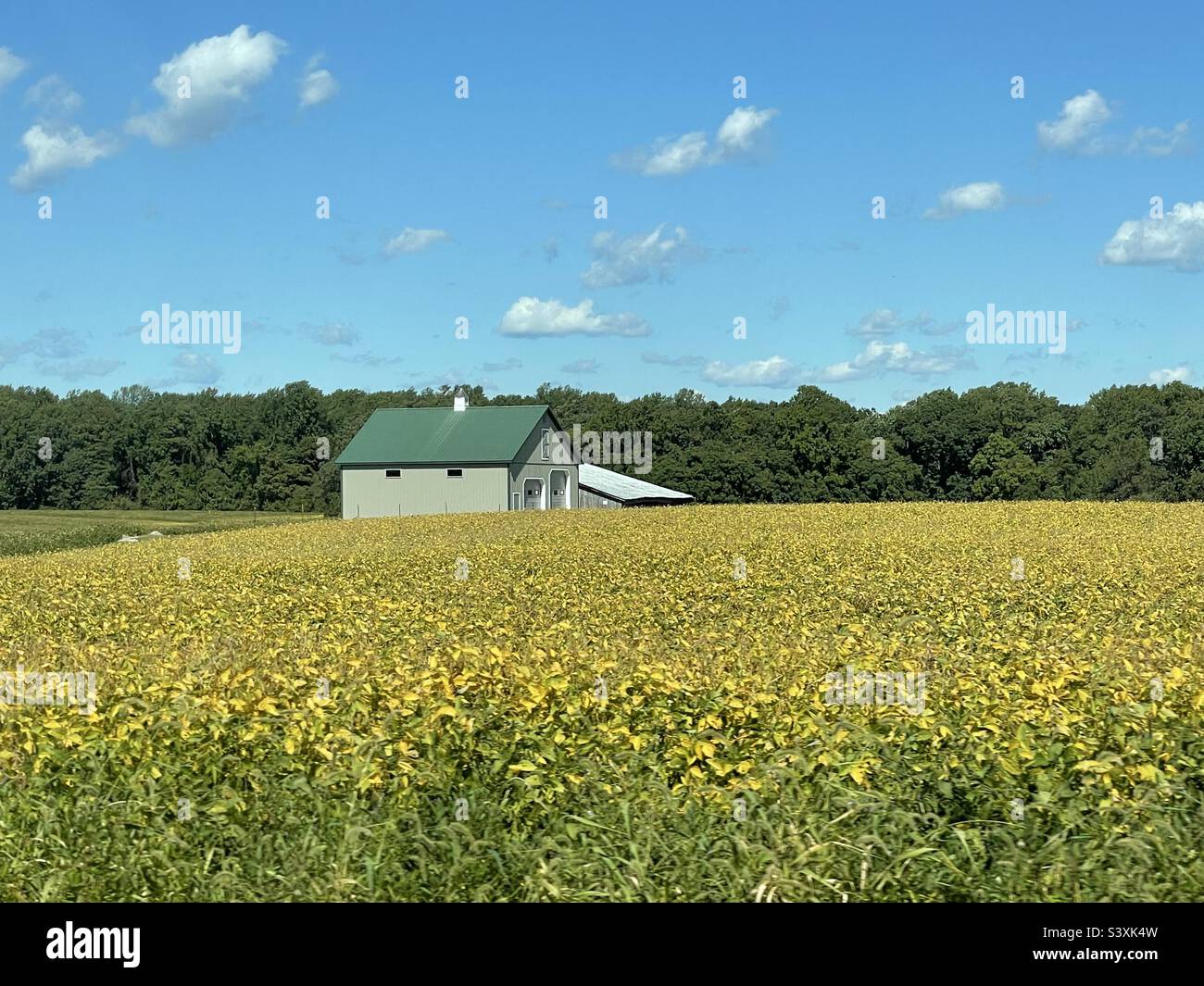 Country farm hi-res stock photography and images - Alamy