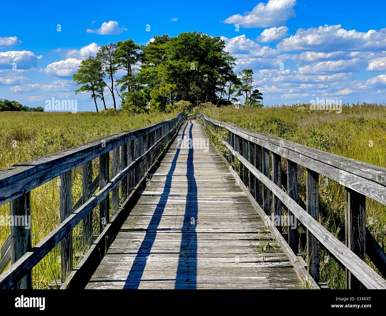 Boardwalk trails hi-res stock photography and images - Alamy