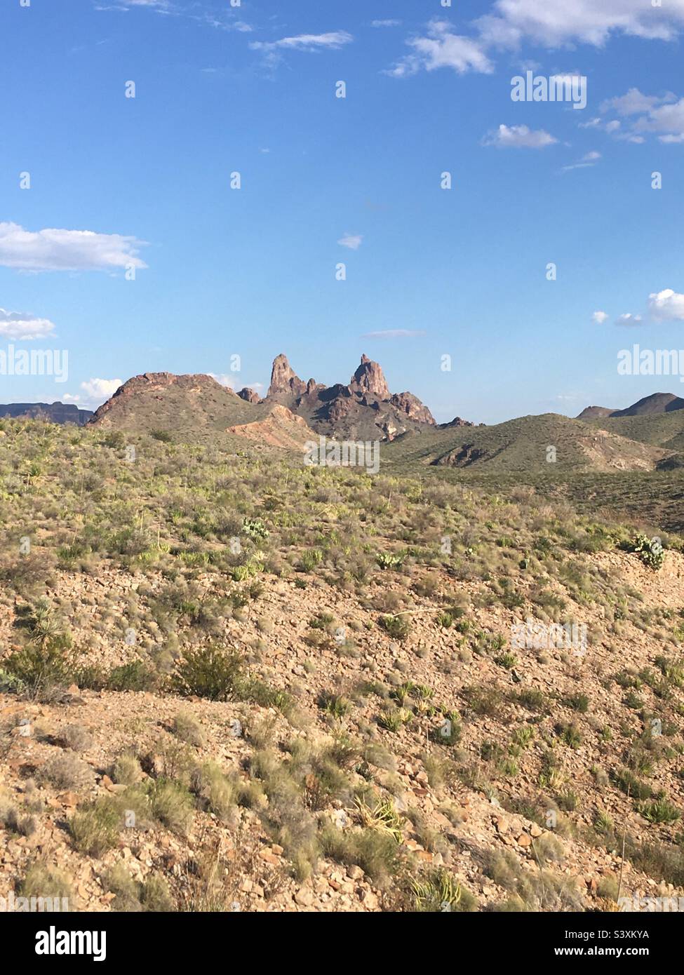 Chihuahuan desert nature park hi-res stock photography and images - Alamy