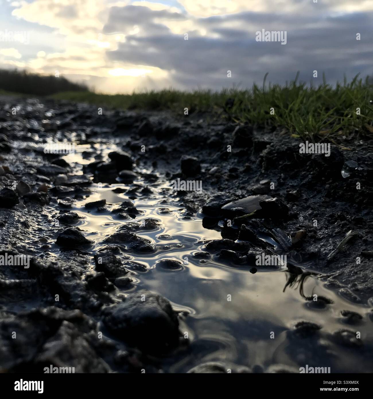 Muddy walk hi-res stock photography and images - Alamy