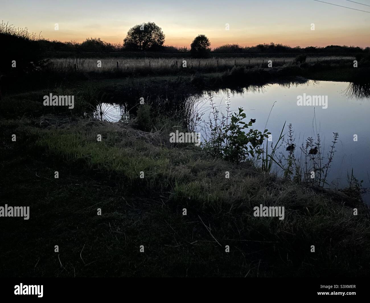 Dusk pond hi-res stock photography and images - Alamy