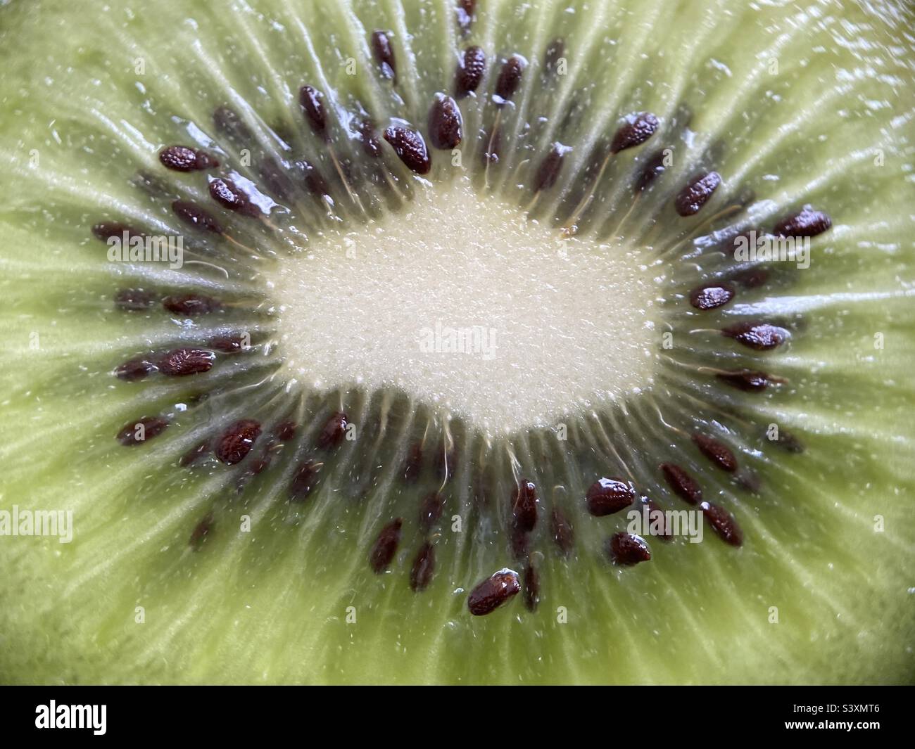 Cross section a kiwi fruit Stock Photo - Alamy