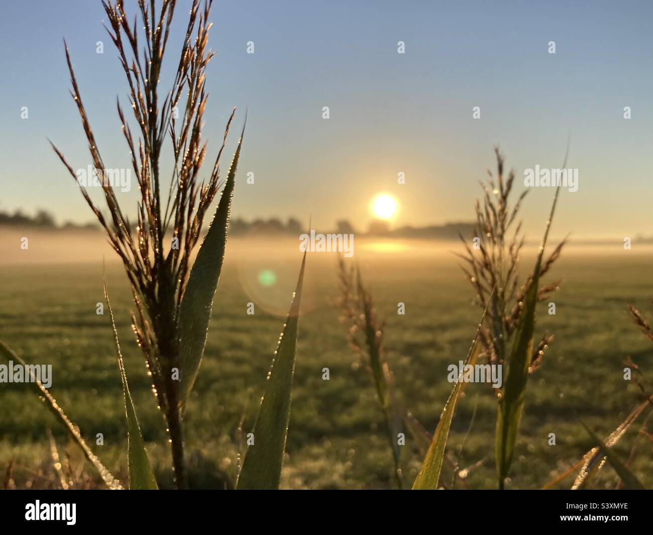 Dutch sunrise hi-res stock photography and images - Alamy