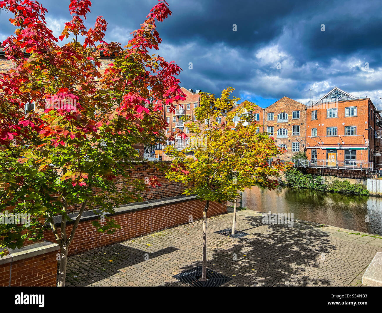 Trees in autumn at brewery wharf in Leeds city centre Stock Photo - Alamy
